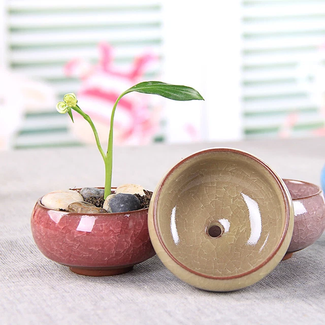 CUTE ICE-CRACK GLAZE Flower Ceramics Succulent Planter Mini Plant Pot ...