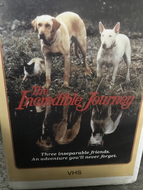WALT DISNEY HOME VHS VIDEO - THE INCREDIBLE JOURNEY (1963) Animals DOGS ...
