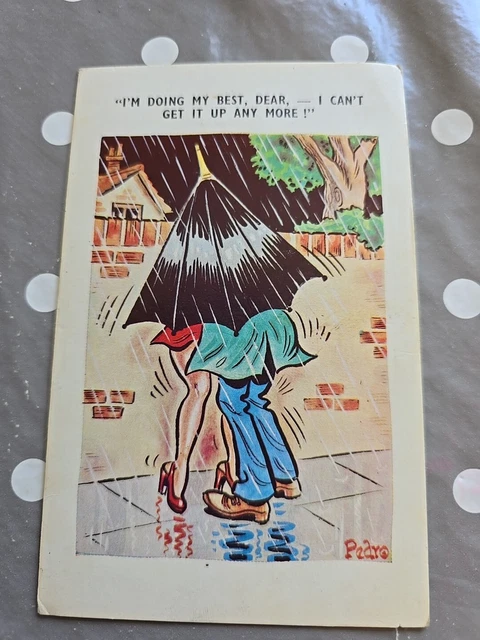 VINTAGE SAUCY SEASIDE Comic Postcard Sunny Pedro Series No 192 By Pedro ...