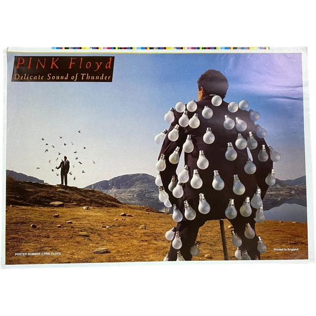 PINK FLOYD RARE Poster Test Print Collectors 1988 Delicate Sound Of ...