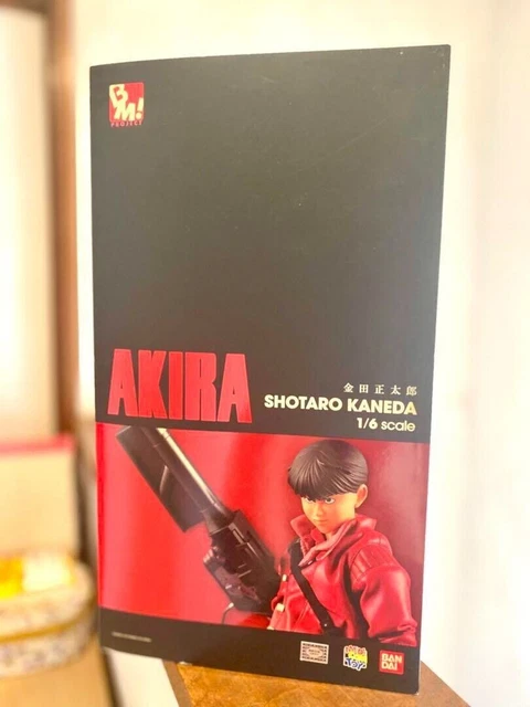 MEDICOM TOY PROJECT BM AKIRA Shotaro Kaneda figurine à l'échelle 1/6 EUR 369,14 - PicClick FR