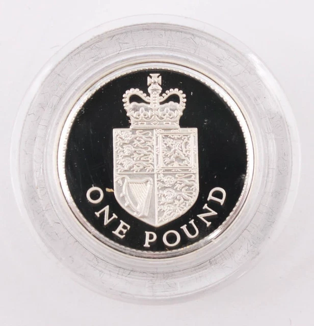 1988 ONE POUND Piedfort Proof Silver Coin UK with box and COA $60.00 ...
