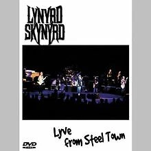 LYNYRD SKYNYRD - Lyve from Steel Town | DVD | état très bon EUR 5,19 - PicClick FR