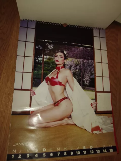 CALENDRIER MURAL GEISHA CLARA MORGANE 40x30 cm 24 photos 2020 EUR 19,90 ... CALENDRIER MURAL GEISHA CLARA MORGANE 40x30 cm 24 photos 2020 EUR 19,90 ...