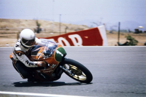 WALTER VILLA HARLEY Davidson Motorcycle Racing 1977 Old Photo 11 $10.00 ...