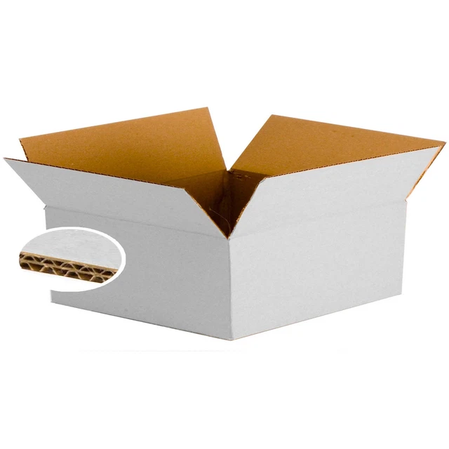 BOITE EN CARTON Blanque Renforcé A Double Vague Emballage EUR 33,35 ...
