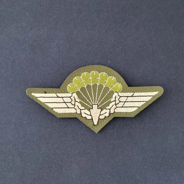 PATCH GSG9 SCHWINGE (alte Ausführung) BGS SEK MEK Bundesgrenzschutz # ...