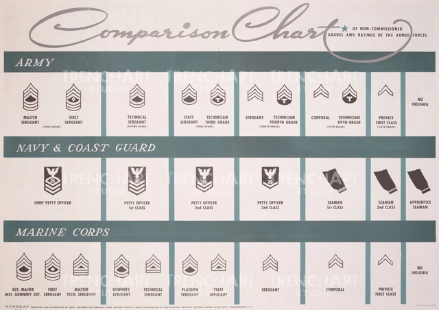 WWII POSTER COMPARISON Chart US ARMY NAVY Coast Guard Marine Corps ...