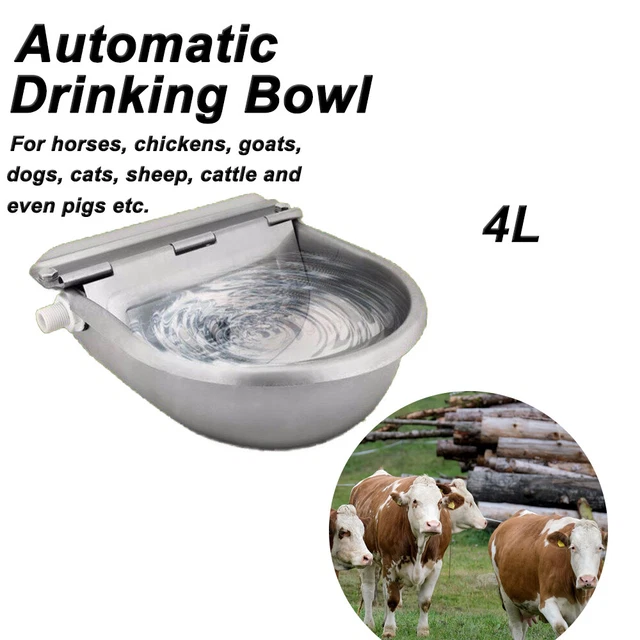 4L STAINLESS WATER Trough Bowl Auto Drinking For Dog Horse Chicken Auto ...