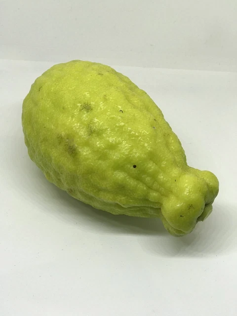 JARA LEMON FRESH Exotic Fruit from Bangladesh. £29.83 - PicClick UK