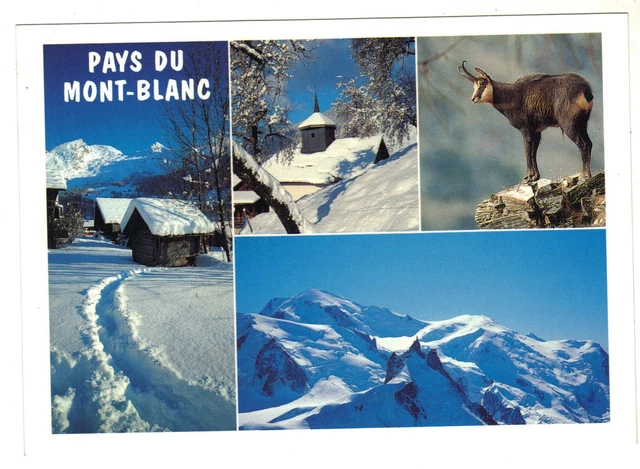 74 - CPSM - Pays du Mont Blanc (H6005) EUR 5,00 - PicClick FR