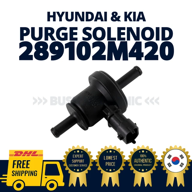 ÉLECTROVANNE DE CONTRÔLE de purge d'origine OEM Hyundai Kia 289102M420 ...