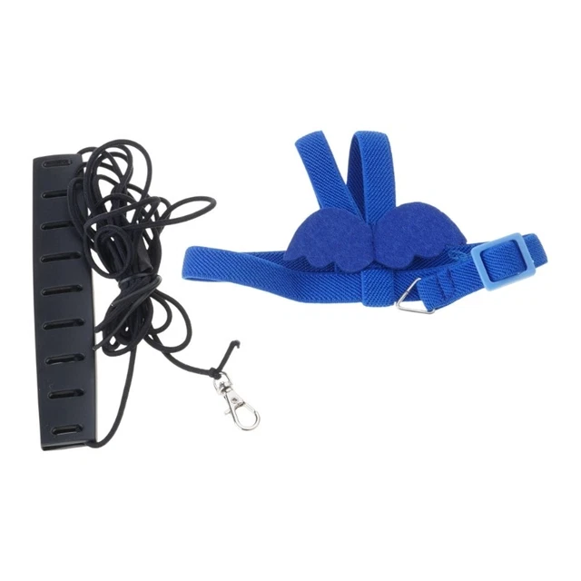 PET BIRD TRAINING Toy Portable Flying Rope for Pigeons Outside Walk ...