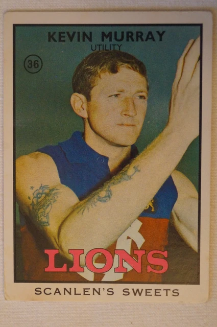 FITZROY LIONS AFL-VFL Football Vintage 1968 Scanlens Trade Card Kevin ...