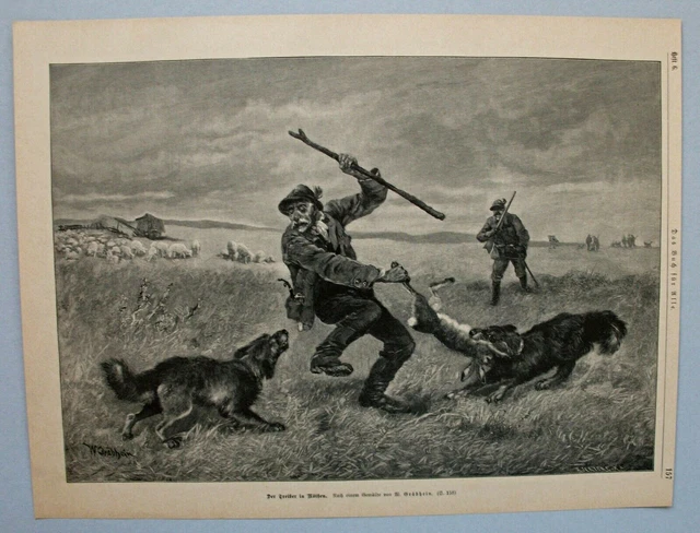 JAGD, JAGDHUNDE, HASENJAGD - Treiber in Not - Stich, Holzstich Gräbhein ...