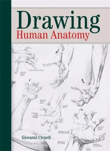 Drawing The Human Body An Anatomical Guide By Civardi Giovanni Eur 591 Picclick De