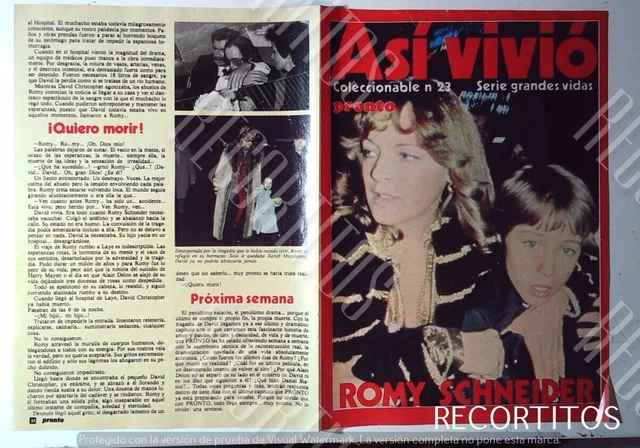 CLIPPINGS ASI VIVIO Romy Schneider Alain Delon N 23 EUR 15,00 - PicClick FR