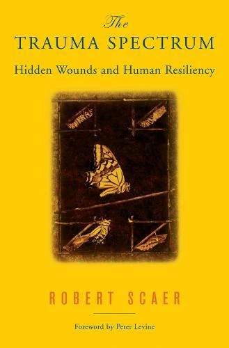 IL TRAUMA SPECTRUM: Hidden Wounds E Umano Resiliency Da Scaer , Robert, Nuovo Bo EUR 58,62 ...