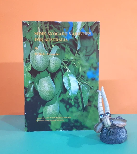 SOME AVOCADO VARIETIES for Australia/fruit growing/avocados/agriculture ...