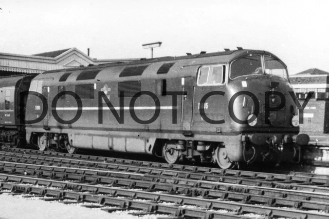 UK DIESEL TRAIN Railway Photograph Of Class 42 Warship Loco D805. Rm42 ...
