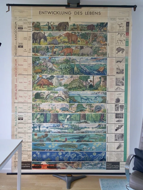 VINTAGE | SCHULWANDKARTE Entwicklung Des Lebens | School Wall Chart ...