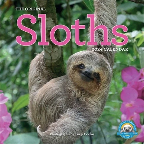 CALENDRIER MURAL ORIGINAL Sloths 2024 : The Ultimate Experts at ...