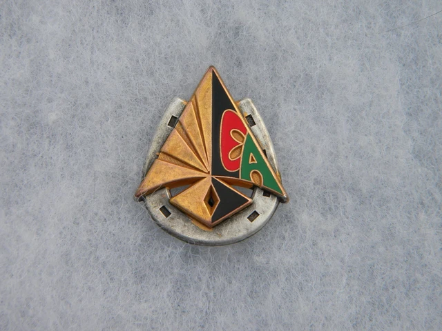 INSIGNE LEGION ETRANGERE - 2° Regiment Etranger D'infanterie - C.e.a ...