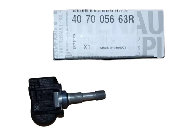 TÈMOIN NOUVELLE ORIGINAL 407005663R Renault EUR 56,28 - PicClick FR