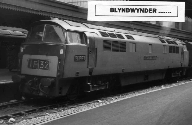 BRITISH RAILWAYS DIESEL Photograph Class 52 Western Fusilier 1023 ...