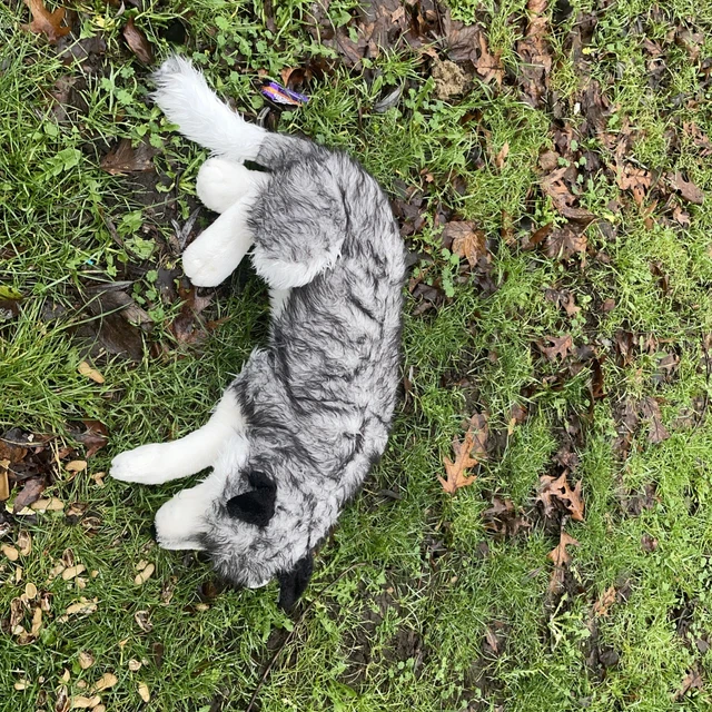 SMYTHS TOYS 70CM Ellie the Husky Dog Blue Eyes Plush Soft Toy Christmas ...