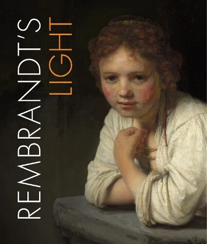 HELEN HILLYARD JENNIFER Scott Rembrandt's Light (Poche) EUR 30,77 ...