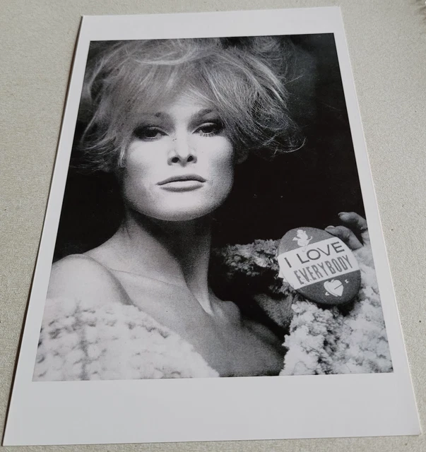 SCHAUSPIELERIN URSULA ANDRESS Erotik/Film-Star-Foto, Format ca. 13 x 19 ...