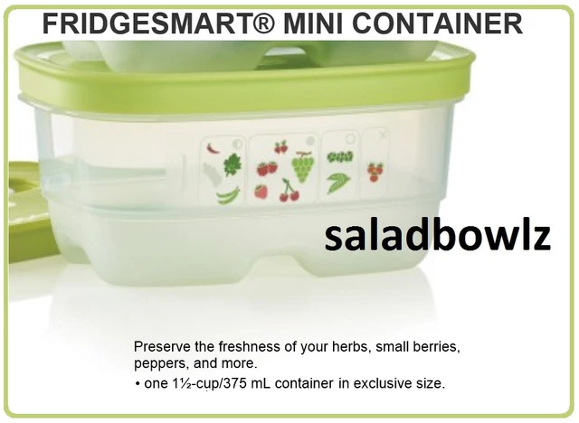 TUPPERWARE FRIDGESMART EXTRA SMALL MINI CONTAINER 375 mL 1.5 cup Wasabi ...
