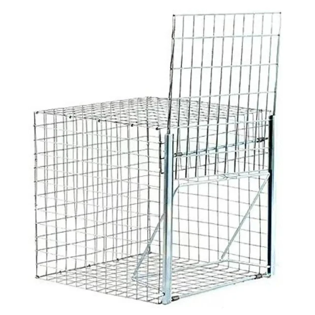 MYNA SINGLE CATCH Humane Bird Trap $69.90 - PicClick AU
