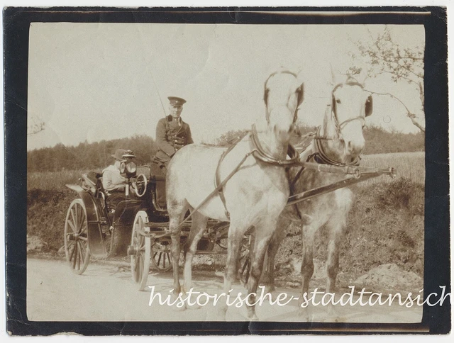 CARRIAGE HORSE CREW - professional coachman uniform lady passenger old ...