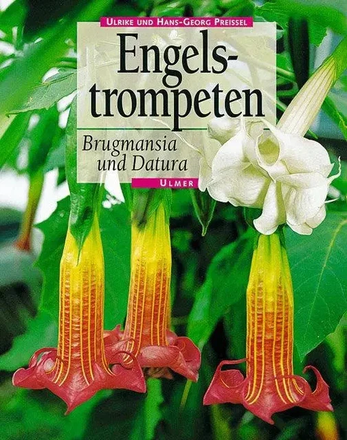 ENGELSTROMPETEN. BRUGMANSIA UND Datura Ulrike Preißel (u. a.) Buch 141 ...