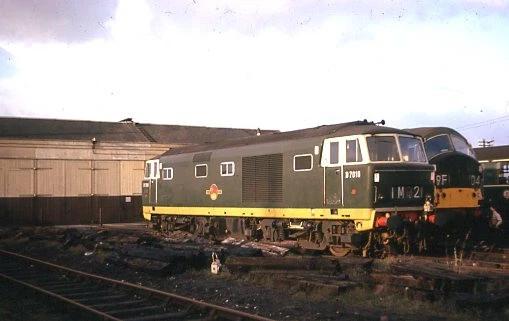 ORIGINAL COLOUR SLIDE of D7010 BR class 35 Hymek diesel hydraulic loco ...