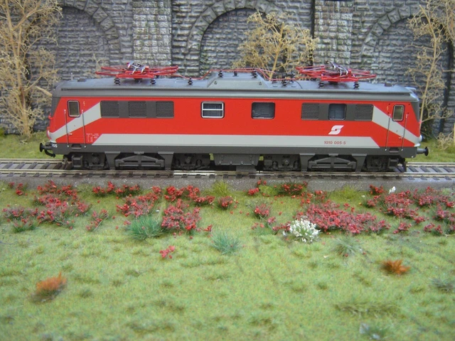 ROCO HO 63793 E-Lok BR1010 005-5 der ÖBB "Gebraucht"(253) EUR 95,00 ...