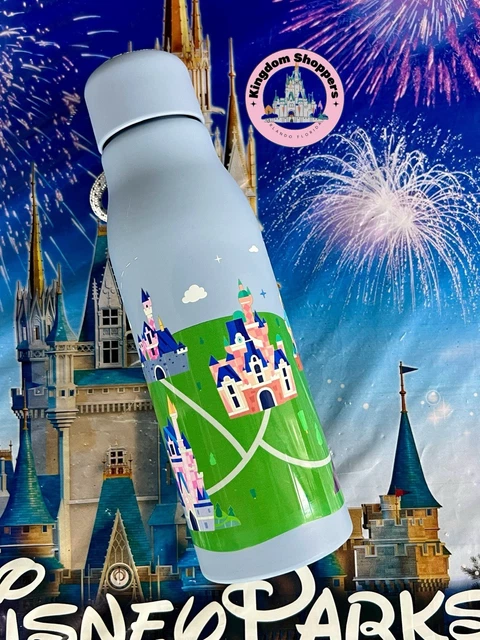 2025 DISNEY WDI MOG D23 Destination D Destinations Castle Light Water ...