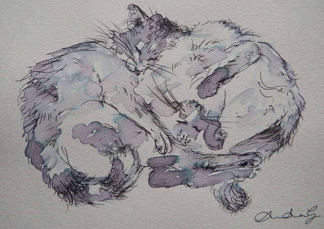 ORIGINAL PEN & ink wash drawing of two cats curled sleeping on ...