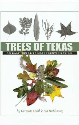 TREES OF TEXAS: An Easy Guide to Leaf Identification (W. L. Mood $100. ...