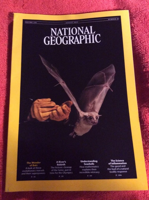 NATIONAL GEOGRAPHIC MAGAZINE August 2024 The Wonder Of Bats River's ...