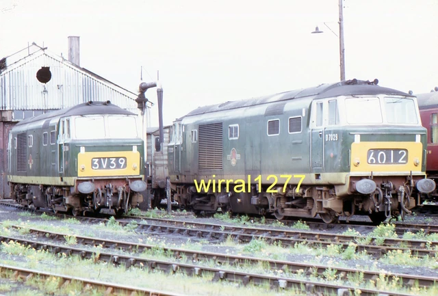 ORIGINAL RAILWAY SLIDE Class 35 D7029 at Didcot 06.68 £15.00 - PicClick UK