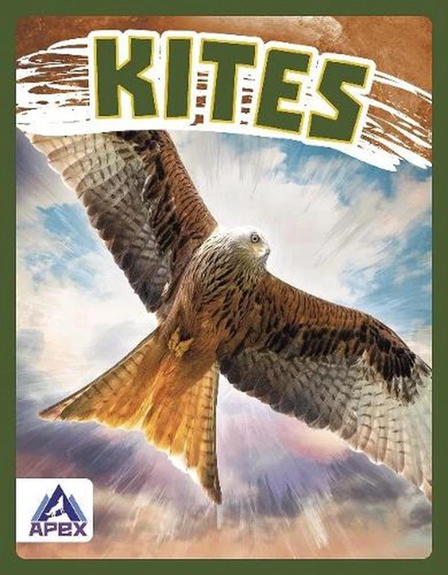 BIRDS OF PREY: Kites by Connor Stratton (English) Paperback Book $18.67 ...