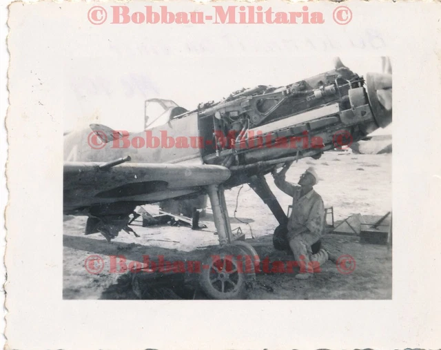 F44 FOTO AFRIKA Luftwaffe Messerschmitt Me Bf 109 Jagdflugzeug JG27 ...