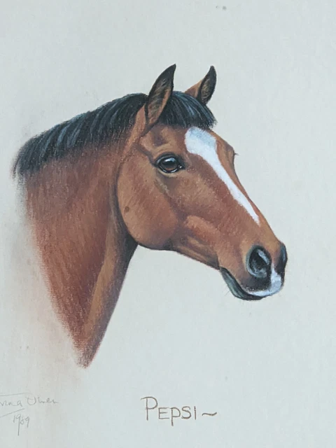ORIGINAL PASTEL DRAWING of horse Pepsi portrait signed by Davina Owen ...