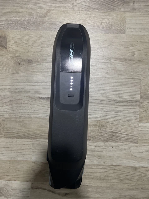 FLYER FLY-01 - 10INR19/66-5 E-Bike Akku 16.75Ah / 36V / 630Wh SIB EUR ...