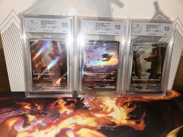 PSA/PGS 10 POKEMON Charmander Charmeleon Charizard SAR /AR 151 201/165 ...