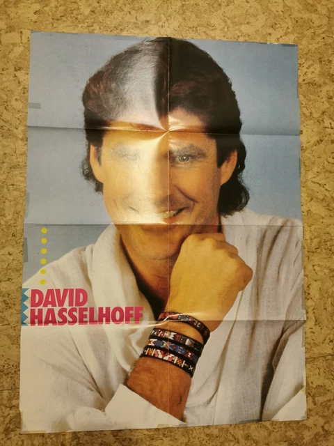 DAVID HASSELHOFF BAYWATCH Knight Rider Poster Hugh EUR 200,00 - PicClick FR