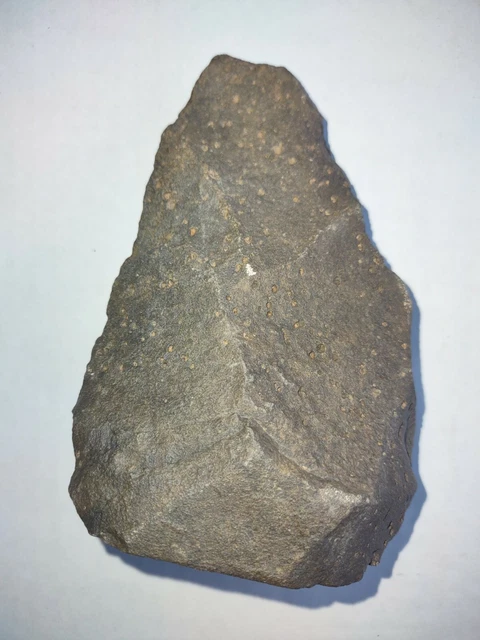 ANCIENT NEOLITHIC STONE Axe Hand Axe Prehistoric Tool Stone Age Museum ...